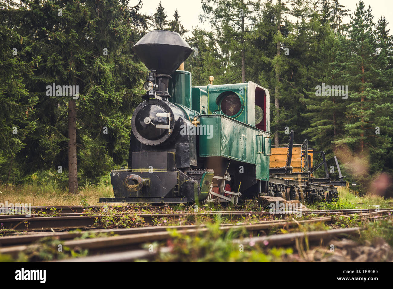 Beautiful Old Steam Locomotive in the Forest Stock Photo - Alamy