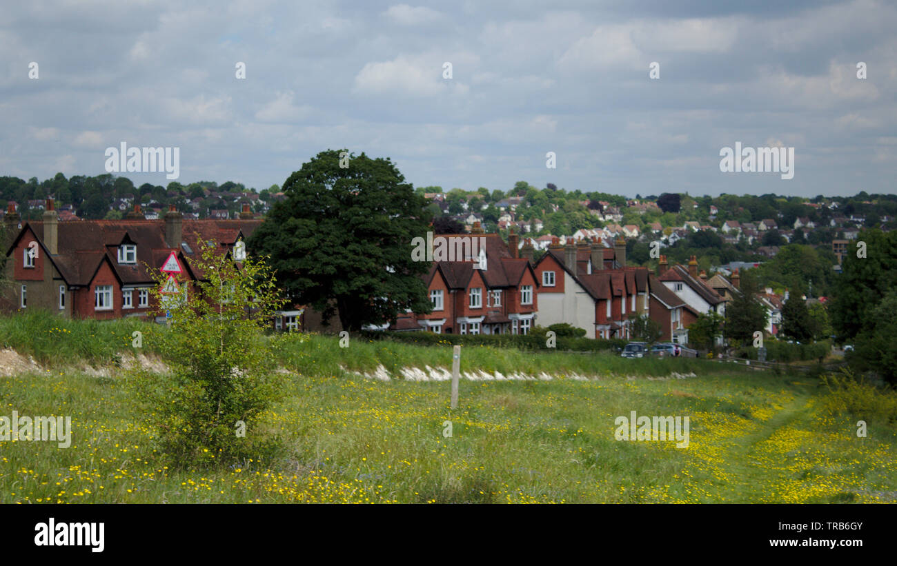 Happy Valley and the Surrey Hills during summer Stock Photo - Alamy