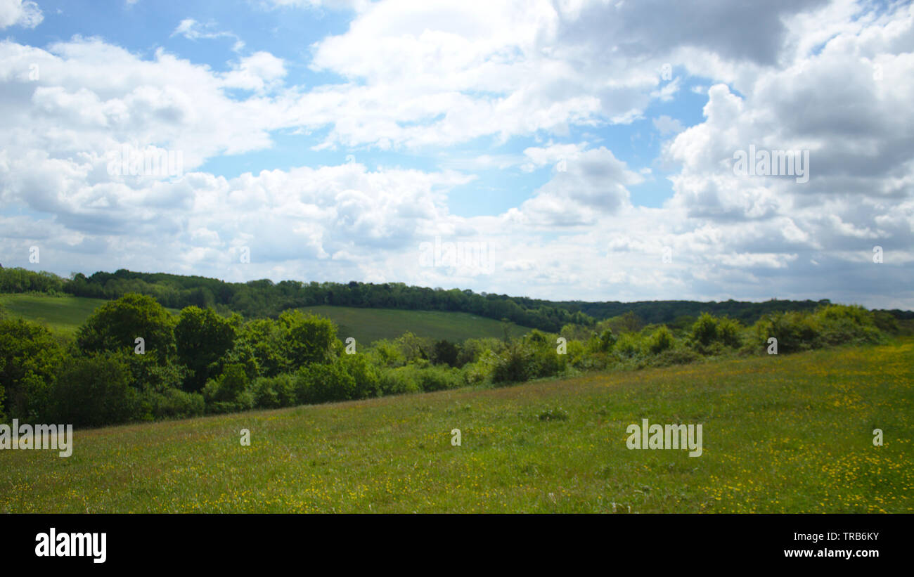 Happy Valley and the Surrey Hills during summer Stock Photo - Alamy