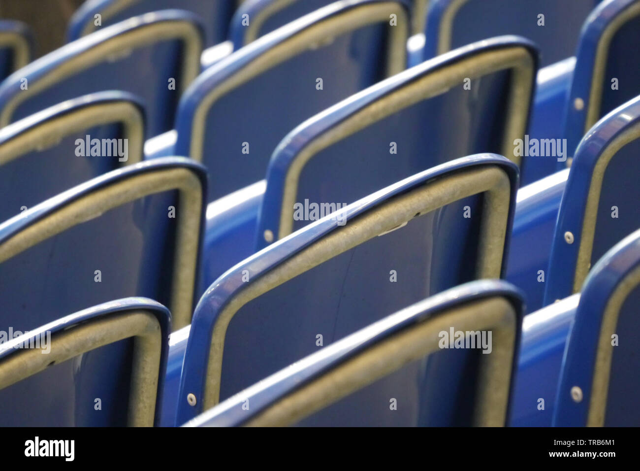Blue seats in the stadium Stock Photo - Alamy