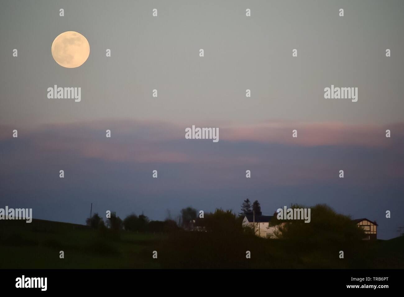 Pink full moon Stock Photo - Alamy