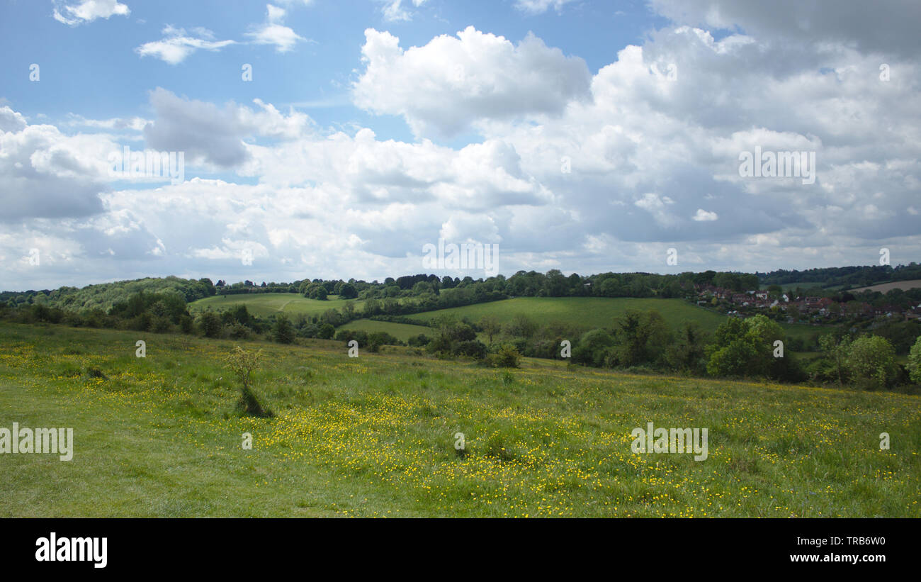 Happy Valley and the Surrey Hills during summer Stock Photo - Alamy