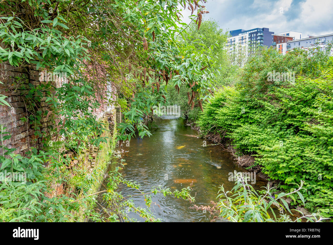 Manchester, UK: the River Irk from the Roger Street bridge. The Irk ...