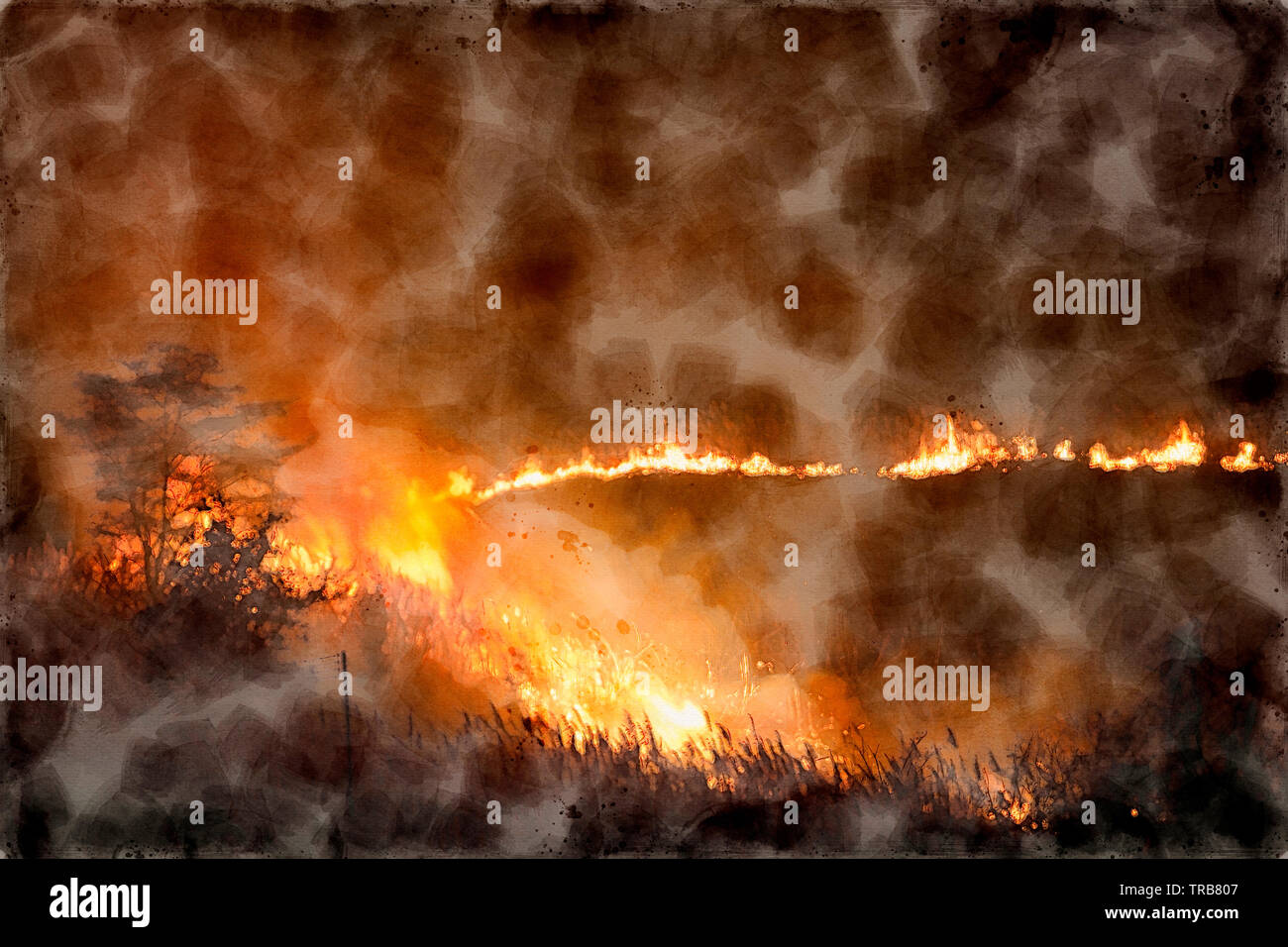 Watercolor Picture of Fire Burning Grasses and Trees on Night Stock ...