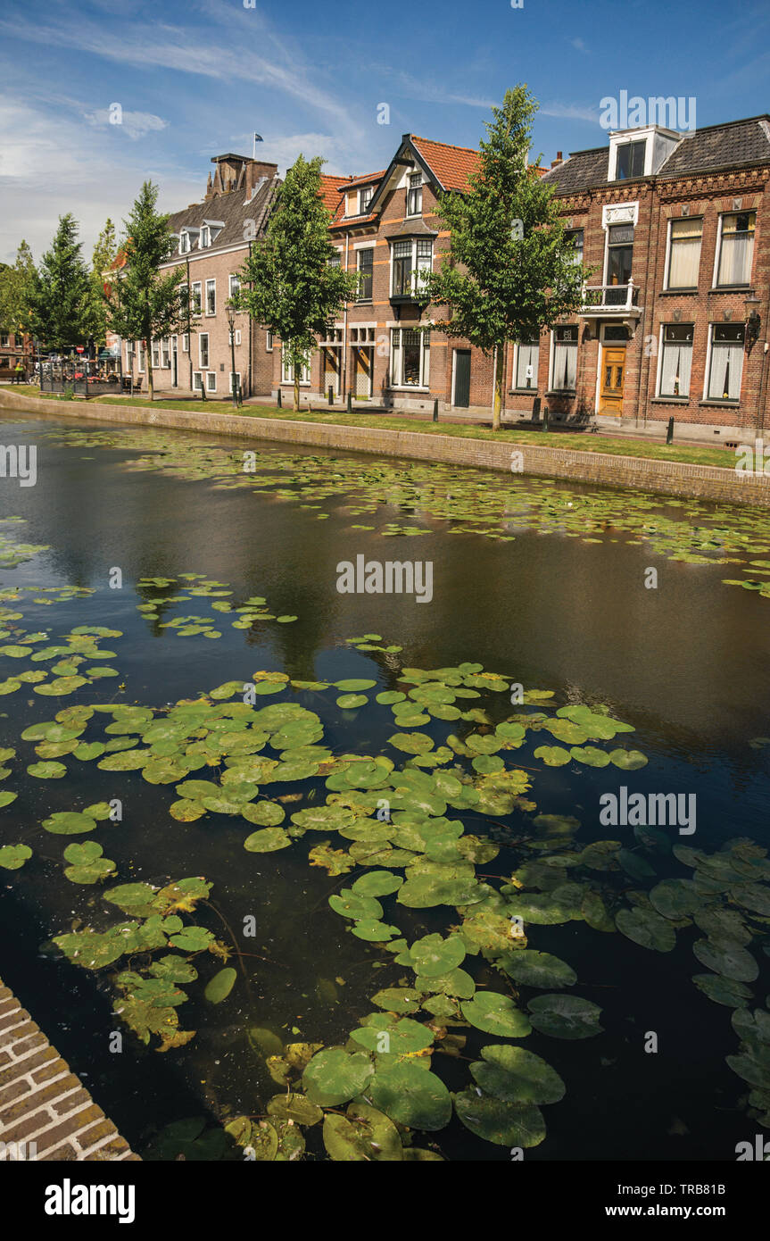 Tree-lined canal with streets on the banks and brick houses on sunny ...
