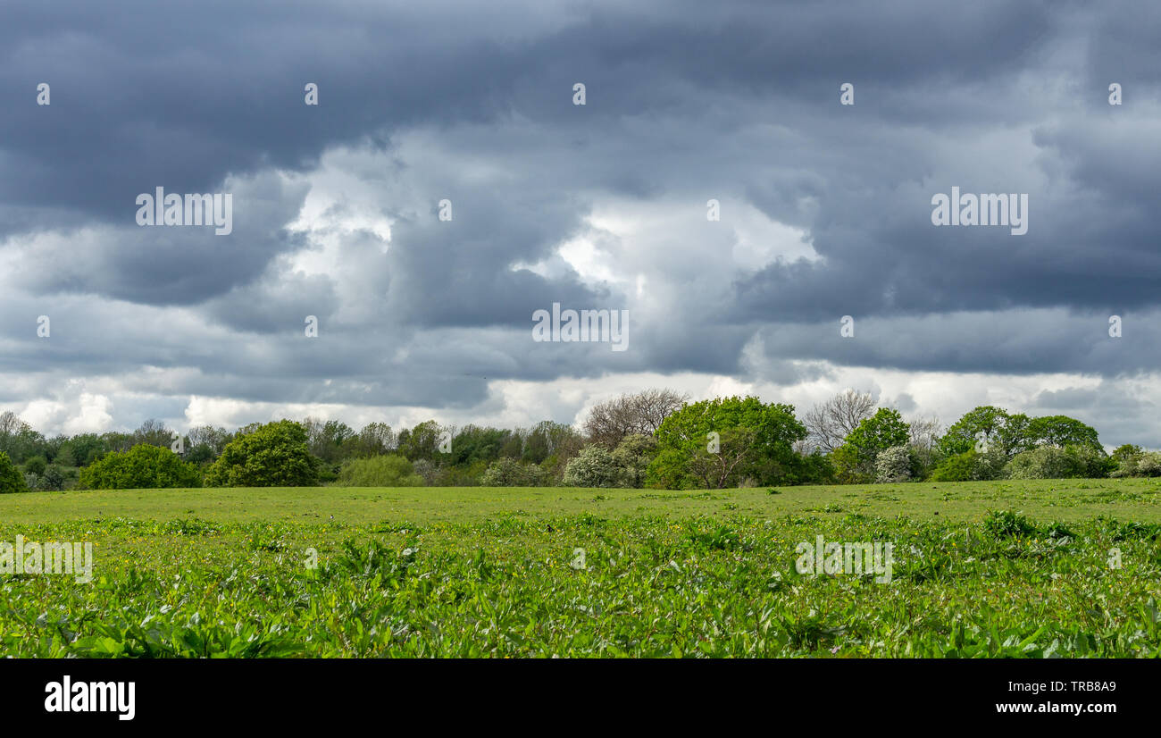 Uk england cheshire stockport reddish hi-res stock photography and ...