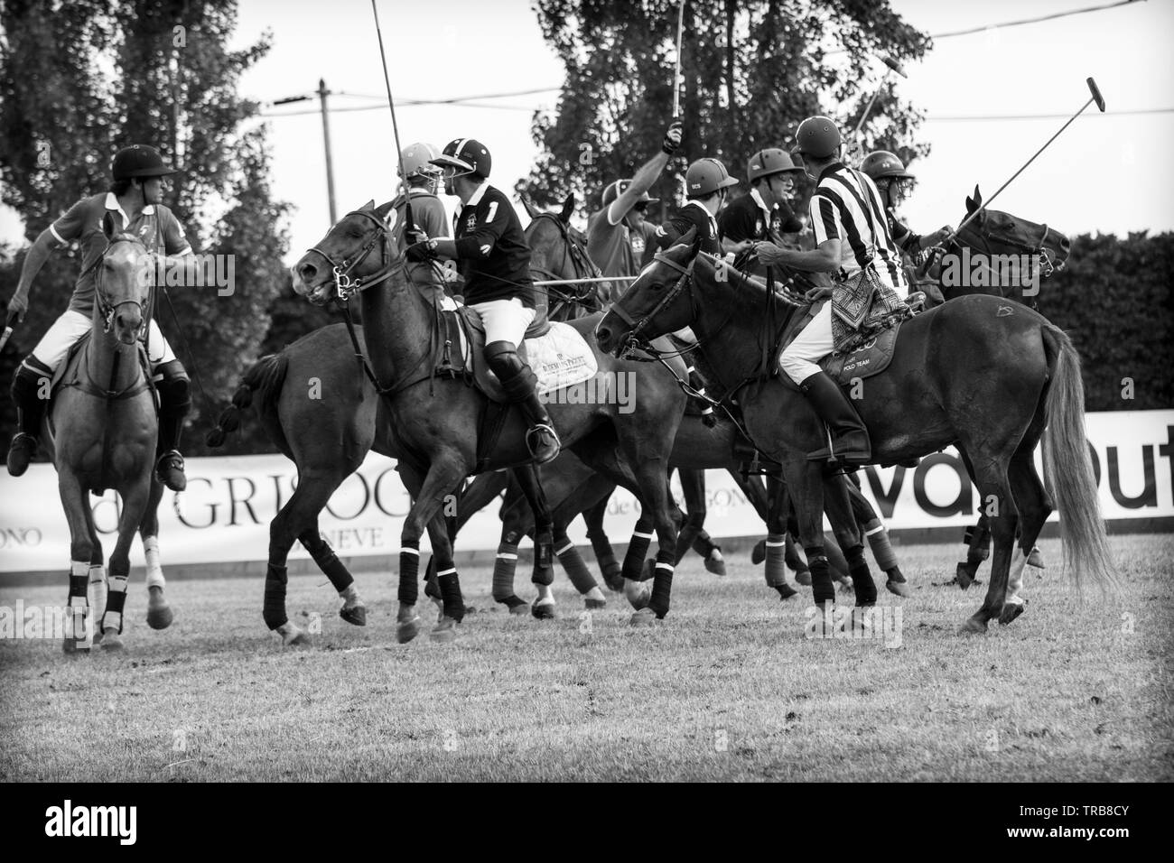 MONTE-CARLO POLO CUP June 07,2015 (FRANCESCO MITRANO, VANDUTCH, SPORT ...
