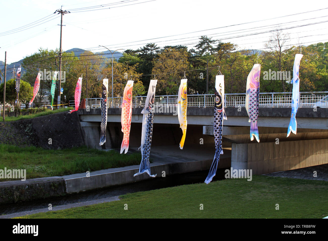 Koi fish streamer hi-res stock photography and images - Alamy