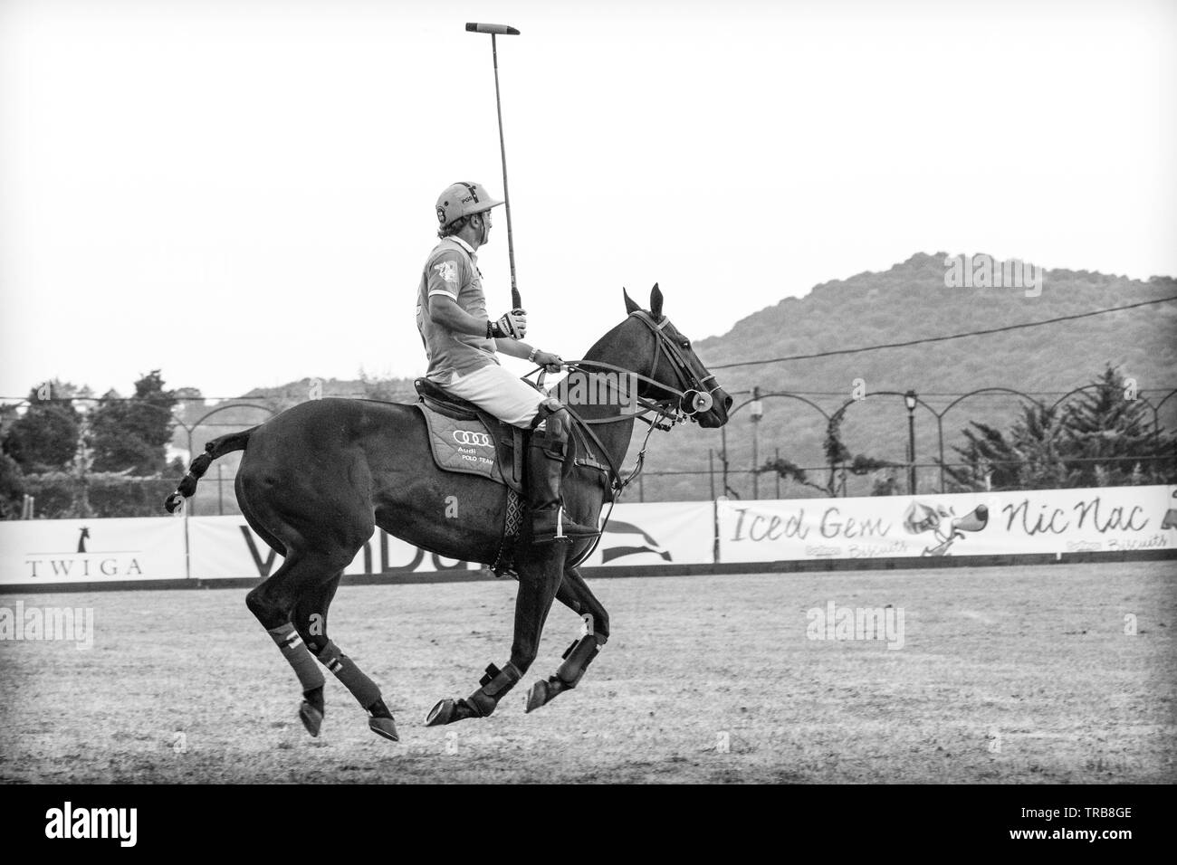 MONTE-CARLO POLO CUP June 07,2015 (FRANCESCO MITRANO, VANDUTCH, SPORT ...