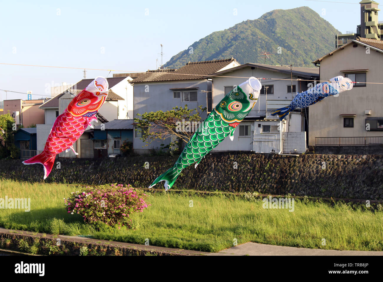 Koi fish streamer hi-res stock photography and images - Alamy