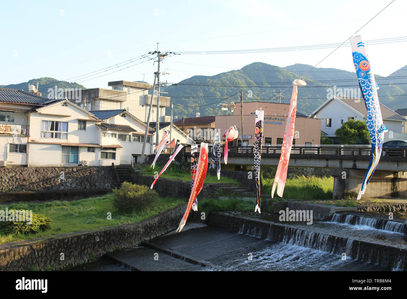 Japanese koinobori flying koi carp fish in Beppu during Golden Week ...