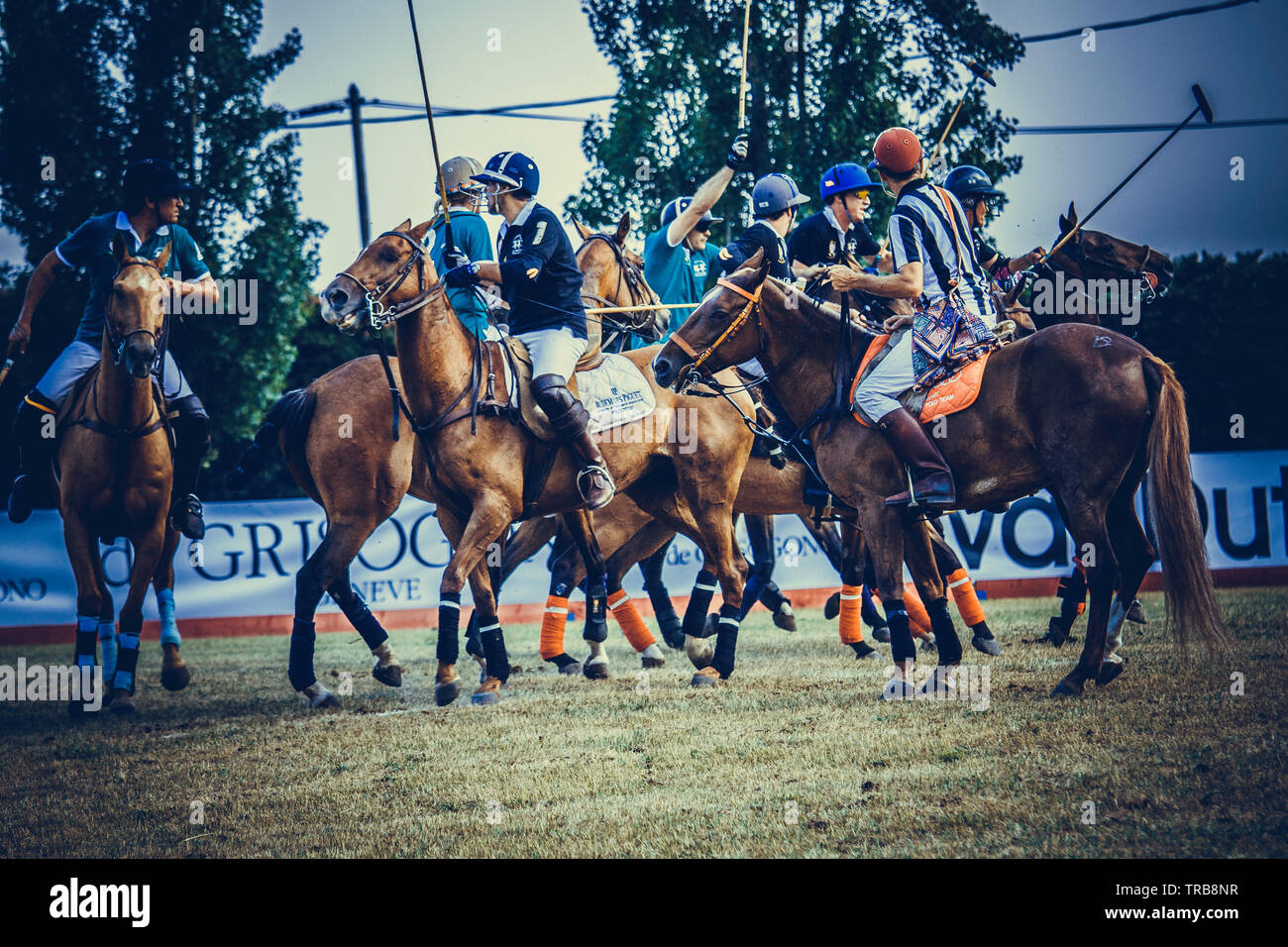 MONTE-CARLO POLO CUP June 07,2015 (FRANCESCO MITRANO, VANDUTCH, SPORT ...