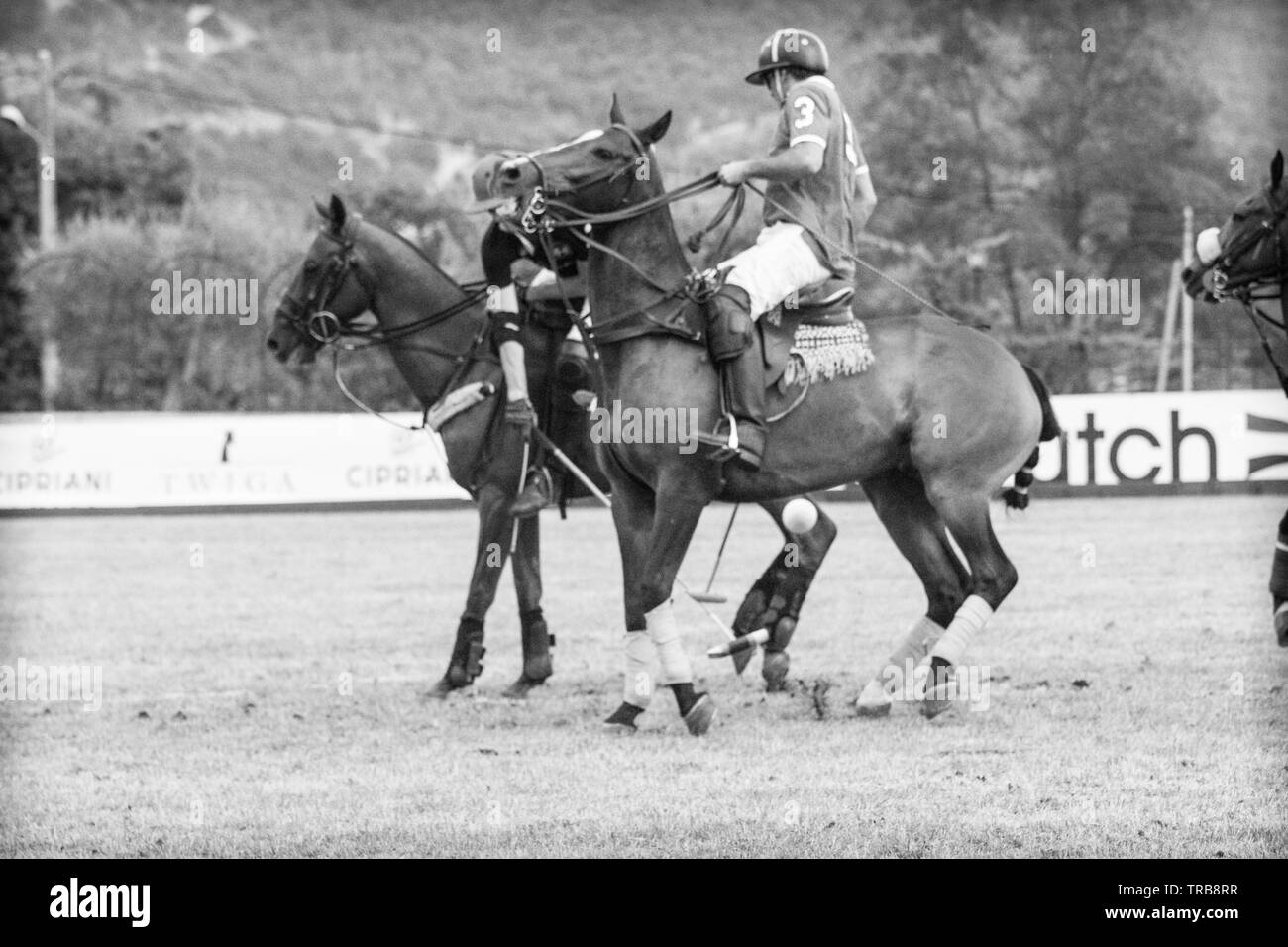 MONTE-CARLO POLO CUP June 07,2015 (FRANCESCO MITRANO, VANDUTCH, SPORT ...