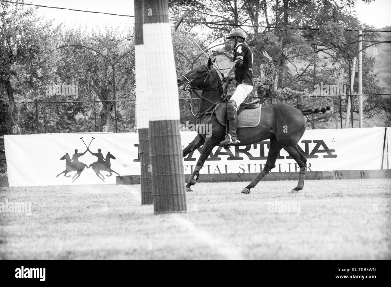 MONTE-CARLO POLO CUP June 07,2015 (FRANCESCO MITRANO, VANDUTCH, SPORT ...