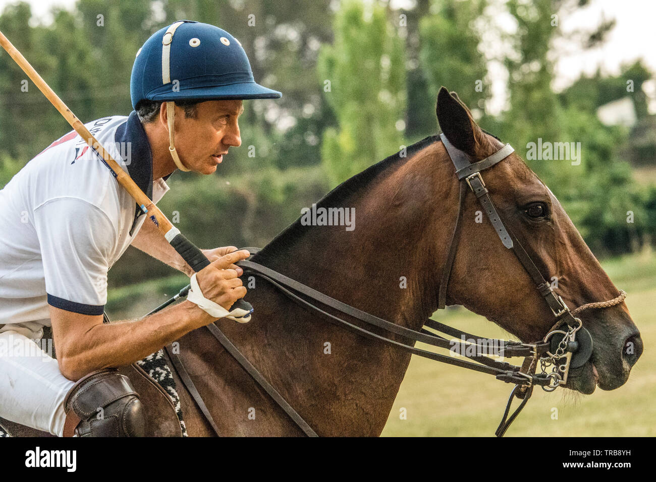 MONTE-CARLO POLO CUP June 07,2015 (FRANCESCO MITRANO, VANDUTCH, SPORT ...