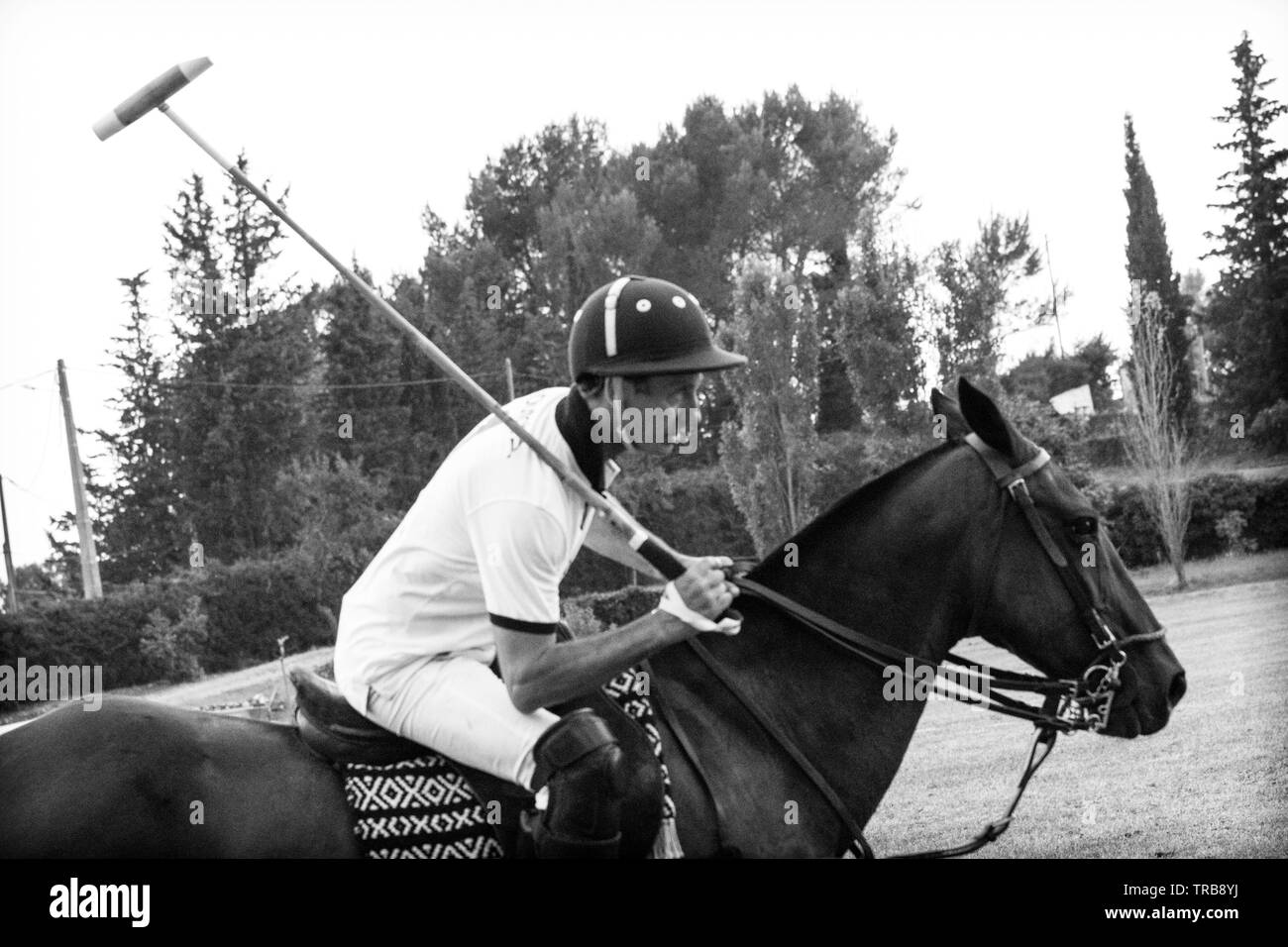 MONTE-CARLO POLO CUP June 07,2015 (FRANCESCO MITRANO, VANDUTCH, SPORT ...
