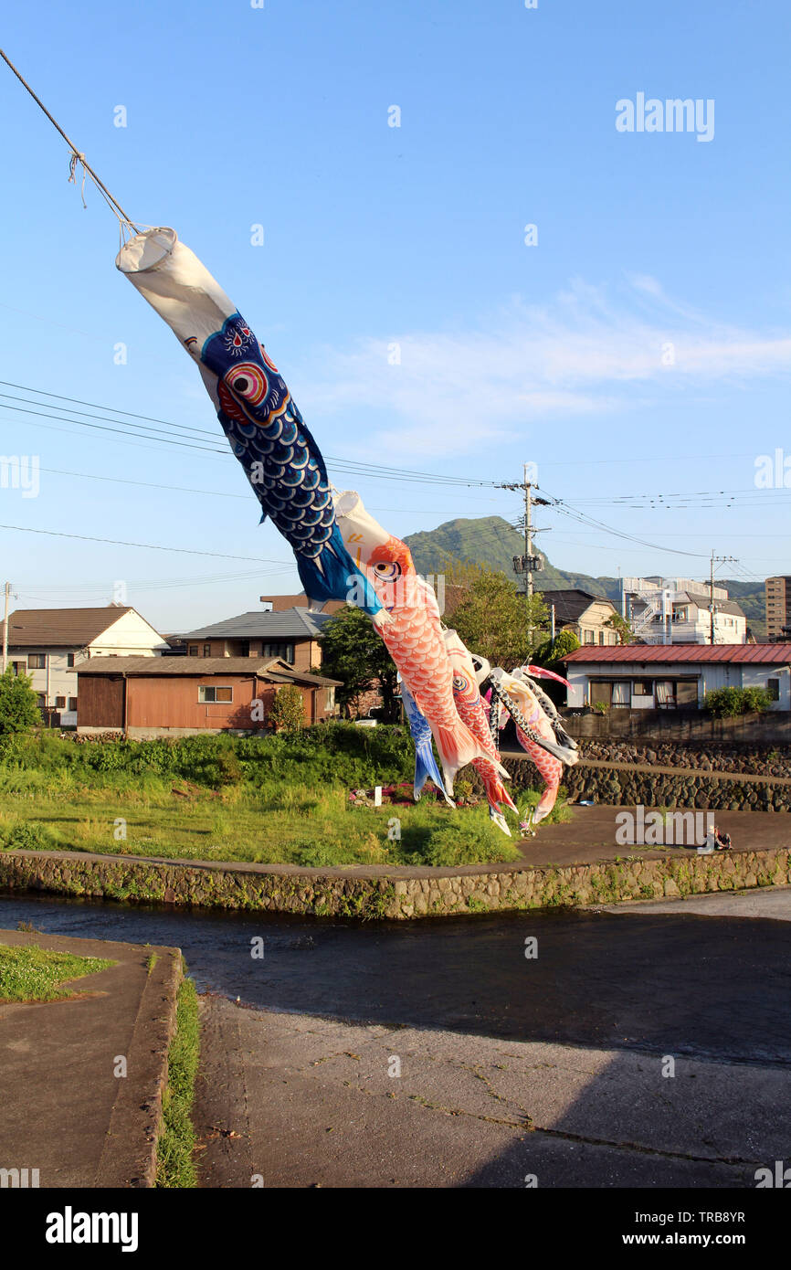 A close-up view of the festival of Japanese koinobori flying koi in ...