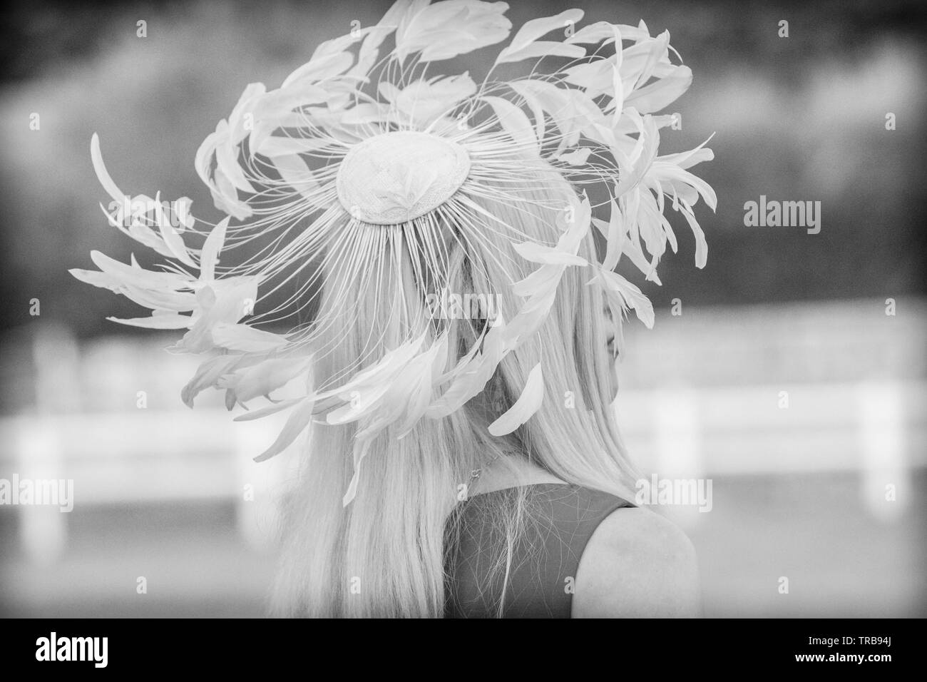 MONTE-CARLO POLO CUP June 07,2015 (FRANCESCO MITRANO, VANDUTCH, SPORT ...