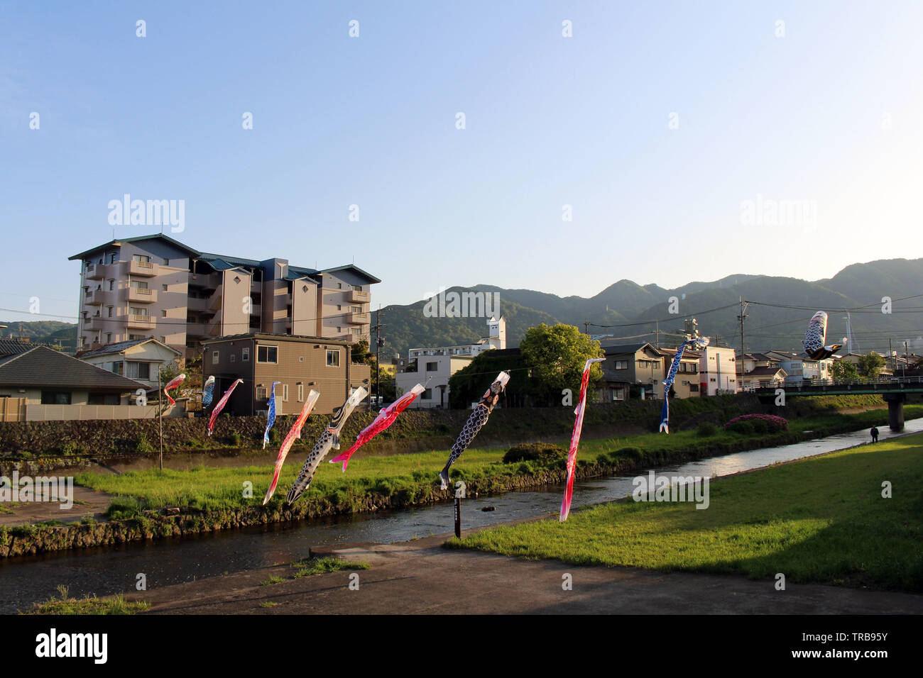 Koi fish streamer hi-res stock photography and images - Alamy