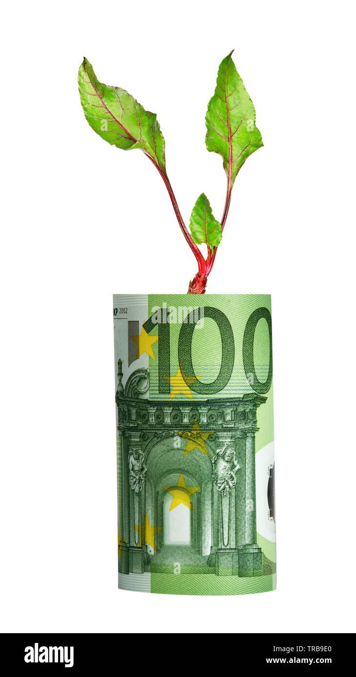 beetroot growing from money Stock Photo - Alamy