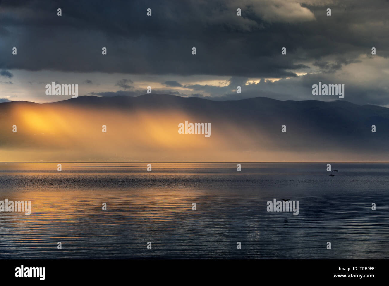 Flying beam hi-res stock photography and images - Alamy