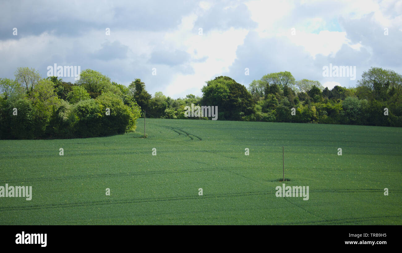 Happy Valley and the Surrey Hills during summer Stock Photo - Alamy