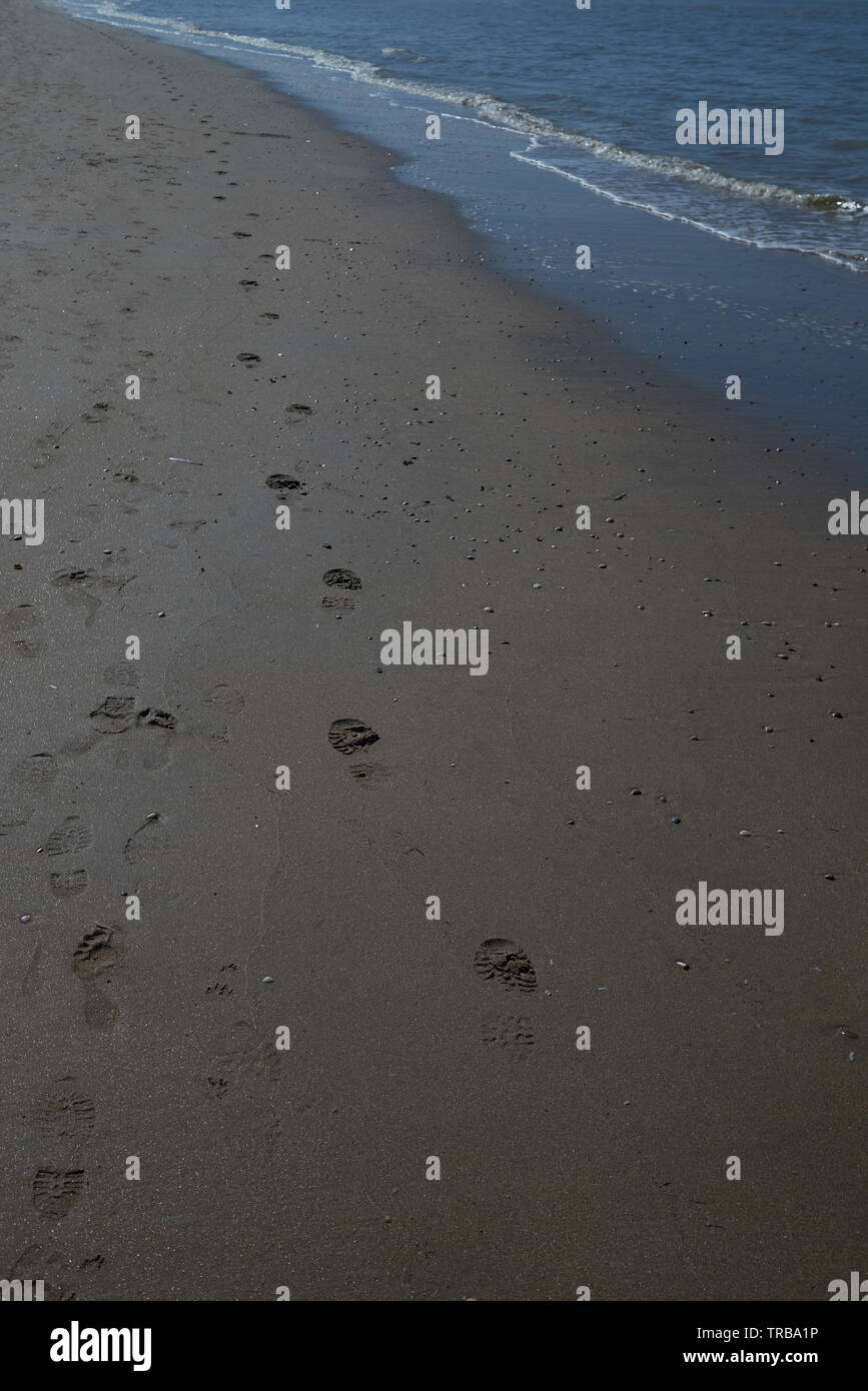 Footsteps from a couple in the sand along the water front at the beach ...