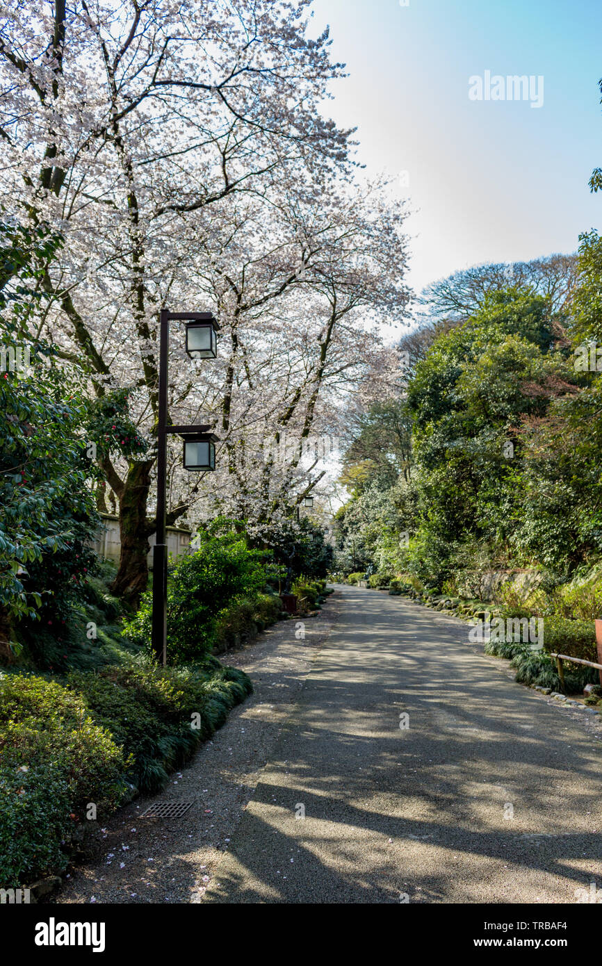 Small walking path with lanterns, in Spring, in central Kanazawa city ...