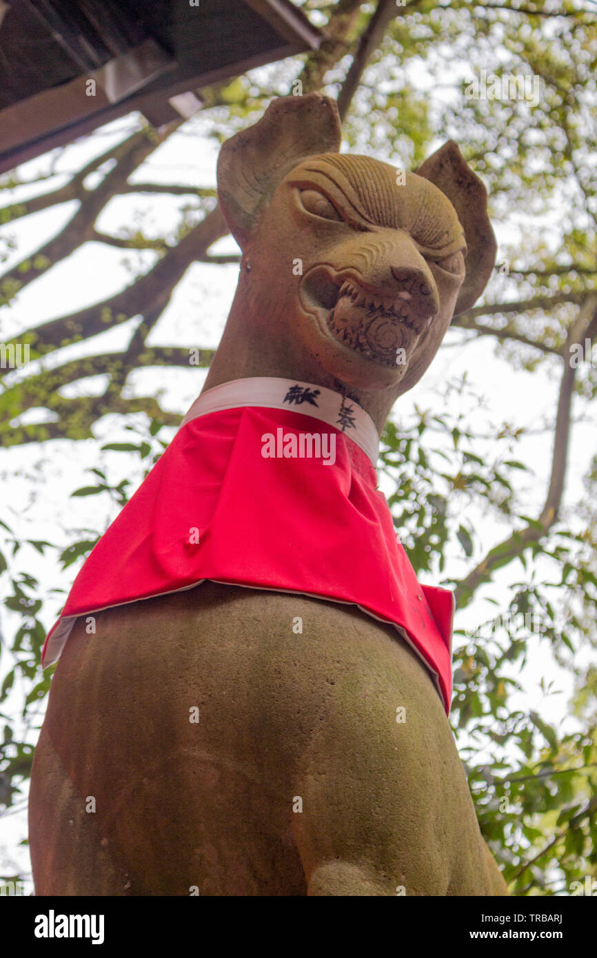 Low angle view of statue of the fox (kitsune) god inari,wearing a red ...