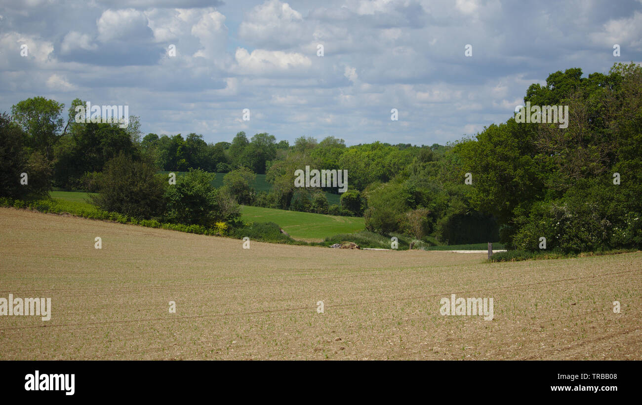Happy Valley and the Surrey Hills during summer Stock Photo - Alamy