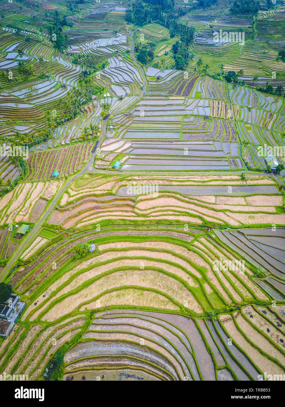 Aerial rice terrace hi-res stock photography and images - Alamy