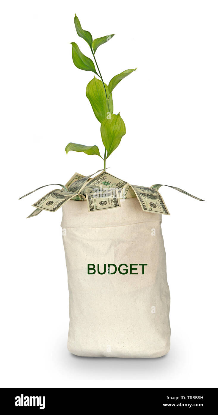 Bag with budget Stock Photo - Alamy