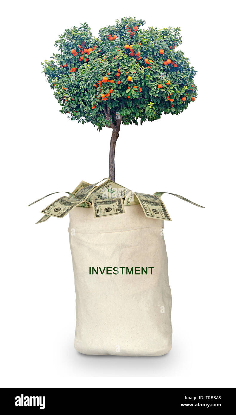 Collective investment fund hi-res stock photography and images - Alamy