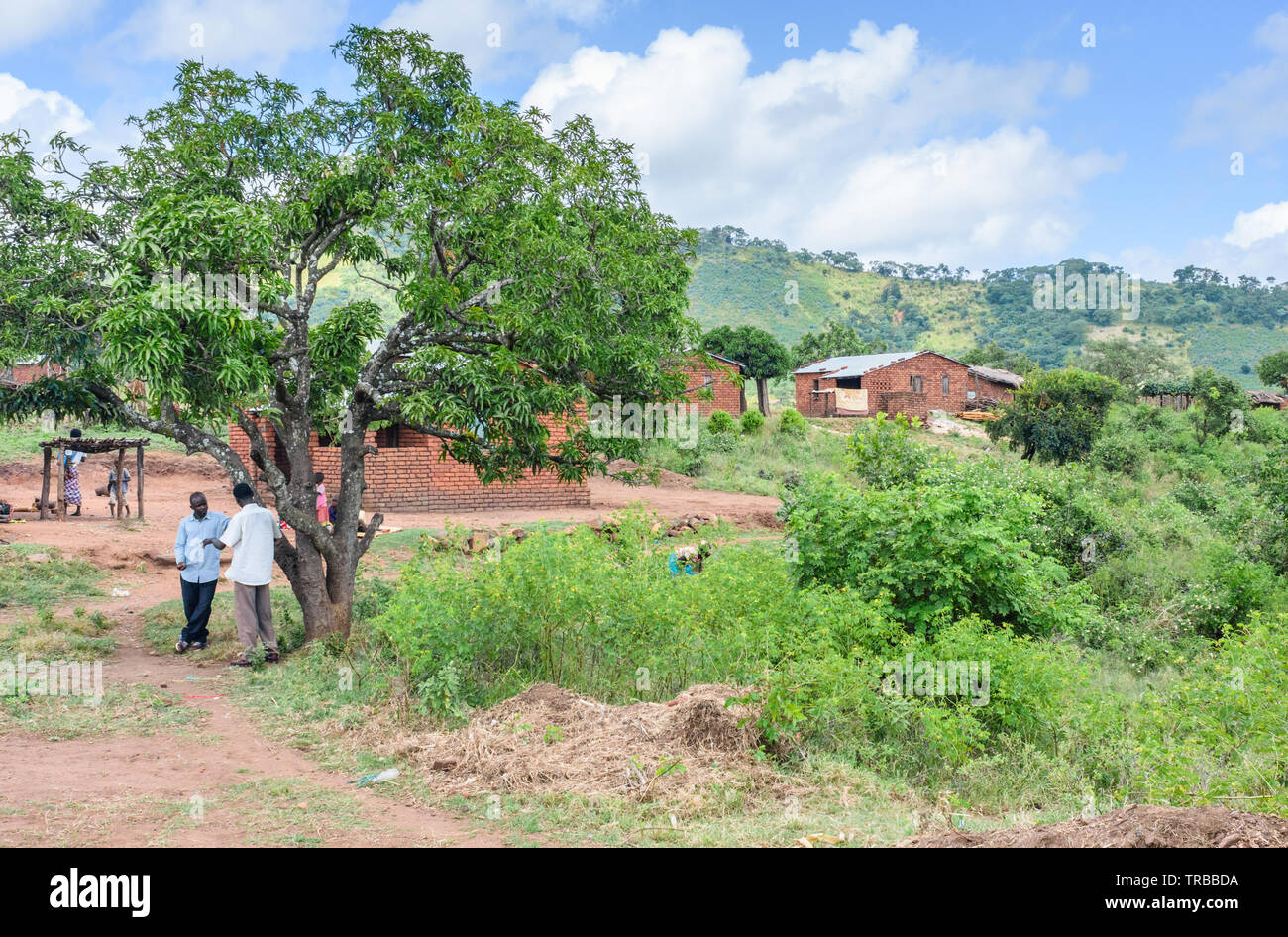 two Malawian men stand talking under a tree in their village in Nsanje ...