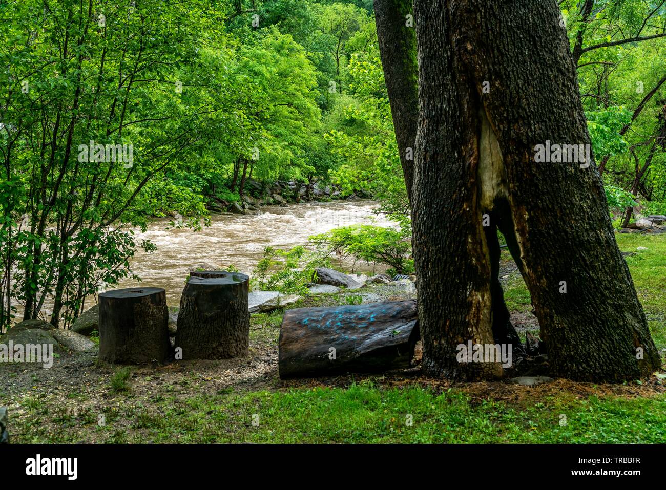 The fabulous Broad River that runs through Lake Lure and Chimney Rock ...
