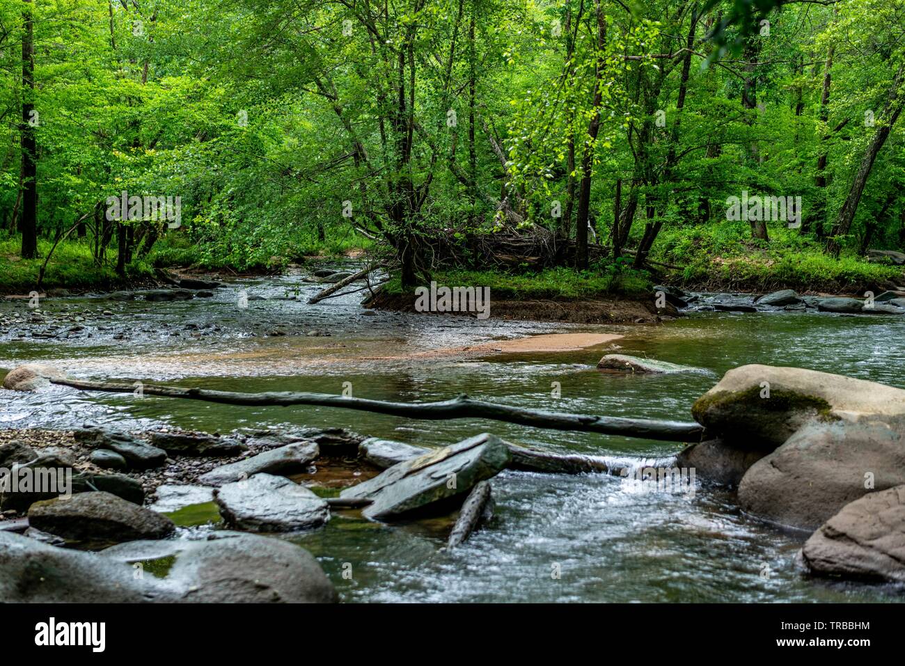 The fabulous Broad River that runs through Lake Lure and Chimney Rock ...