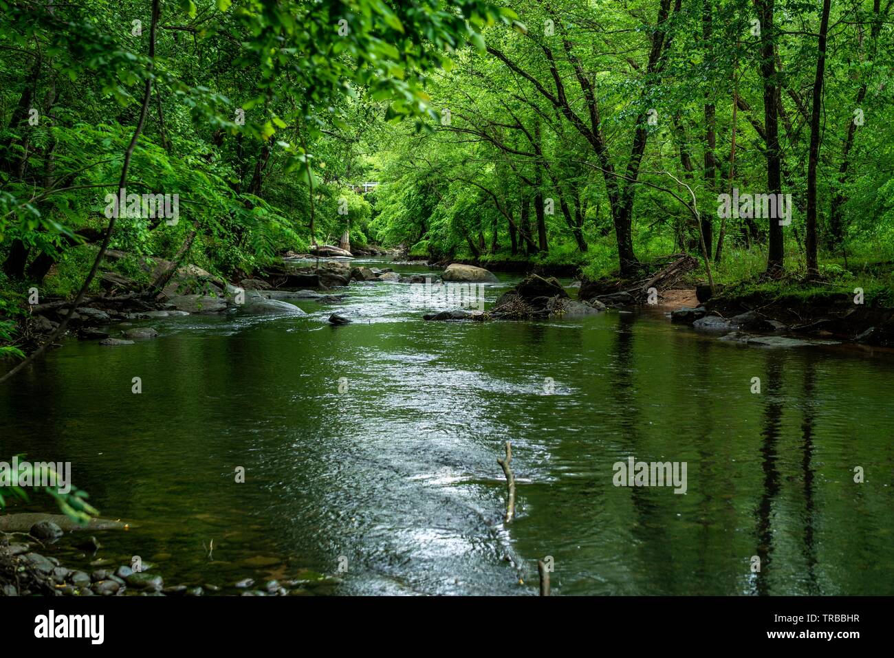 The fabulous Broad River that runs through Lake Lure and Chimney Rock ...