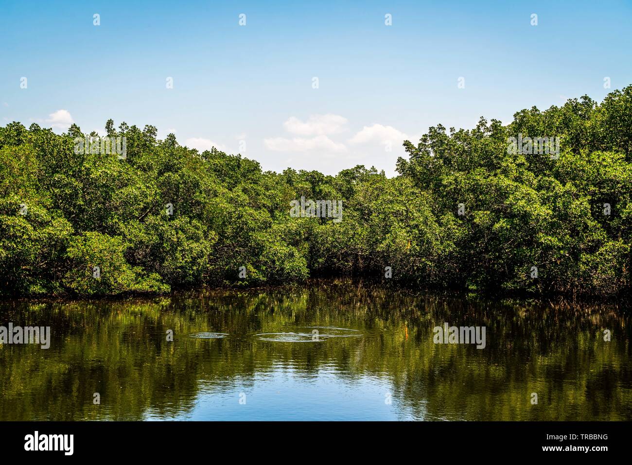 A look at some of the magnificent sights to see in Weeden Island ...