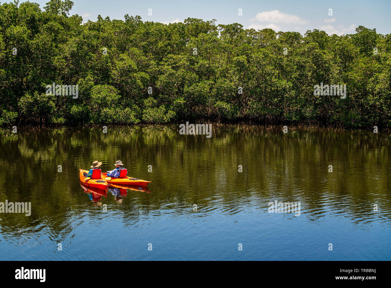 A look at some of the magnificent sights to see in Weeden Island ...