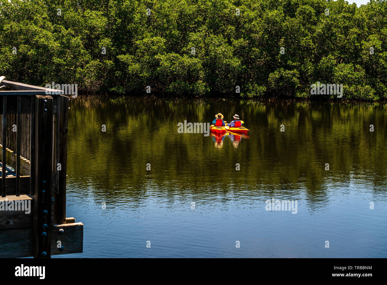 A look at some of the magnificent sights to see in Weeden Island ...