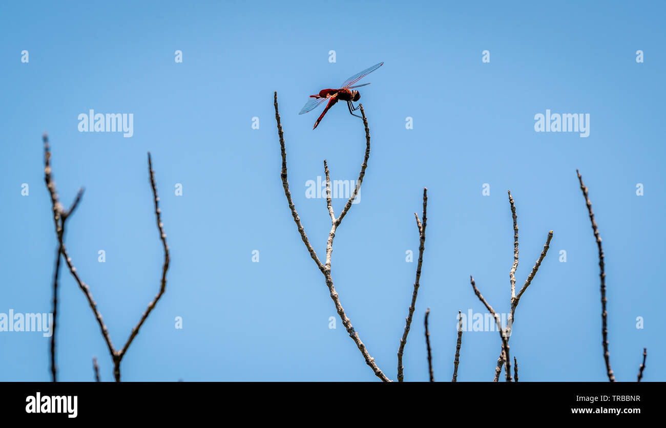 A look at some of the magnificent sights to see in Weeden Island ...