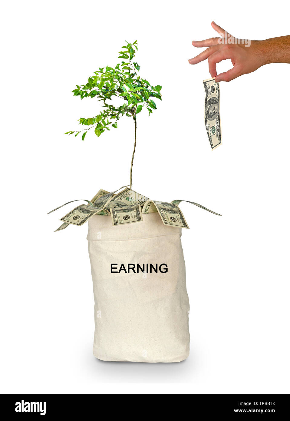 Money bag with earning Stock Photo - Alamy