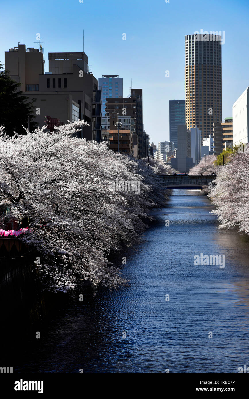 Meguro Area Tokyo Japan Stock Photo - Alamy