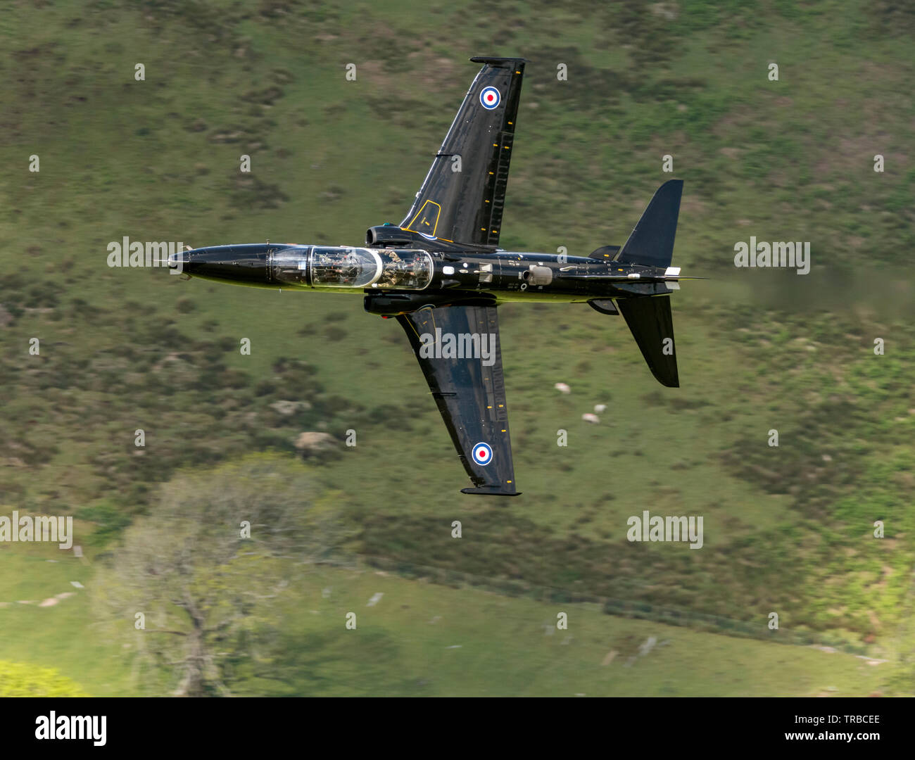 Royal Air Force, Hawk T2 aircraft, low level at Corris Corner Stock ...