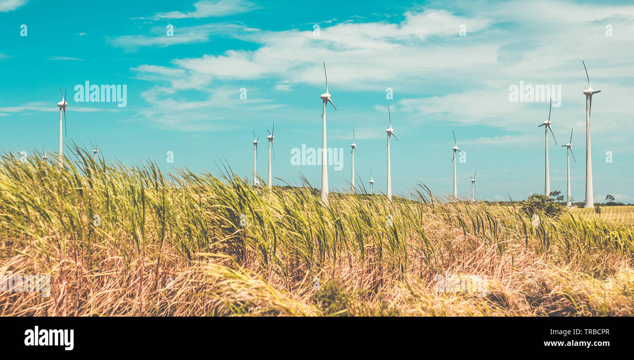 Wind Turbine Power Generator in WindPower Field - Pernambuco, Brazil ...