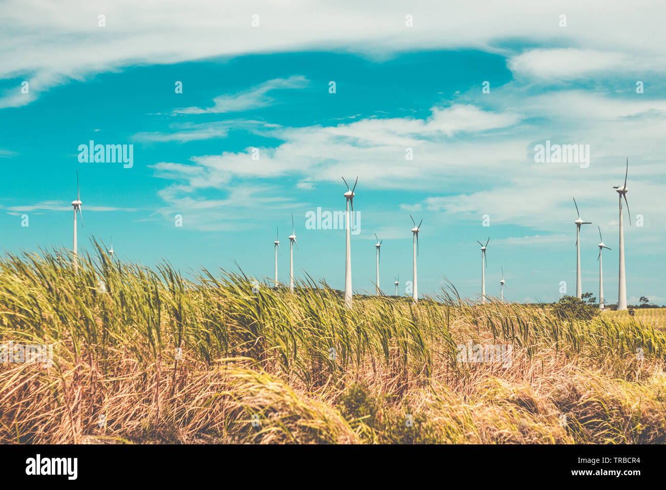 Wind Turbine Power Generator in WindPower Field - Pernambuco, Brazil ...