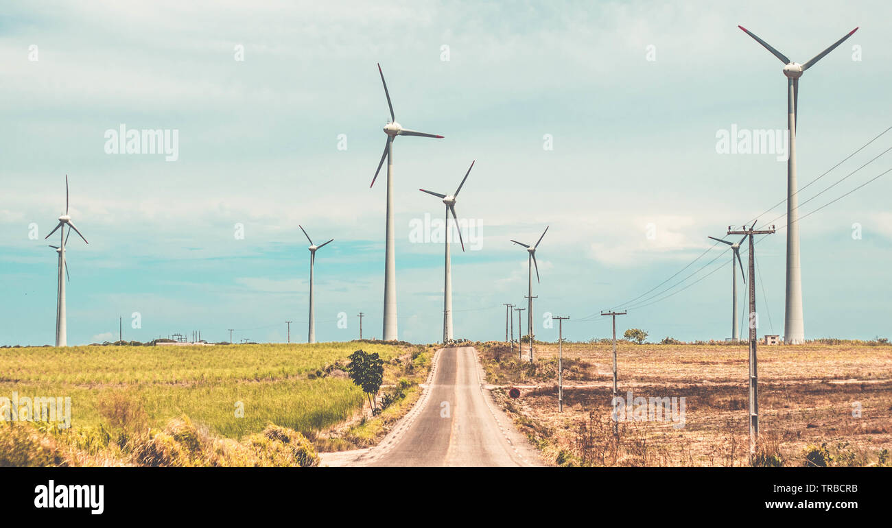 Brazil wind farm hi-res stock photography and images - Alamy