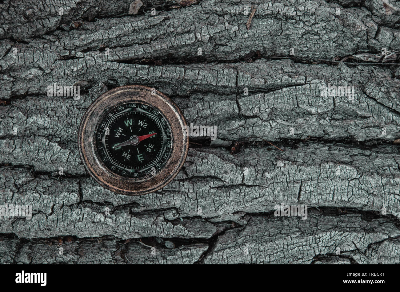 Old compass lies on the bark of a tree, Hiking and traveling ...