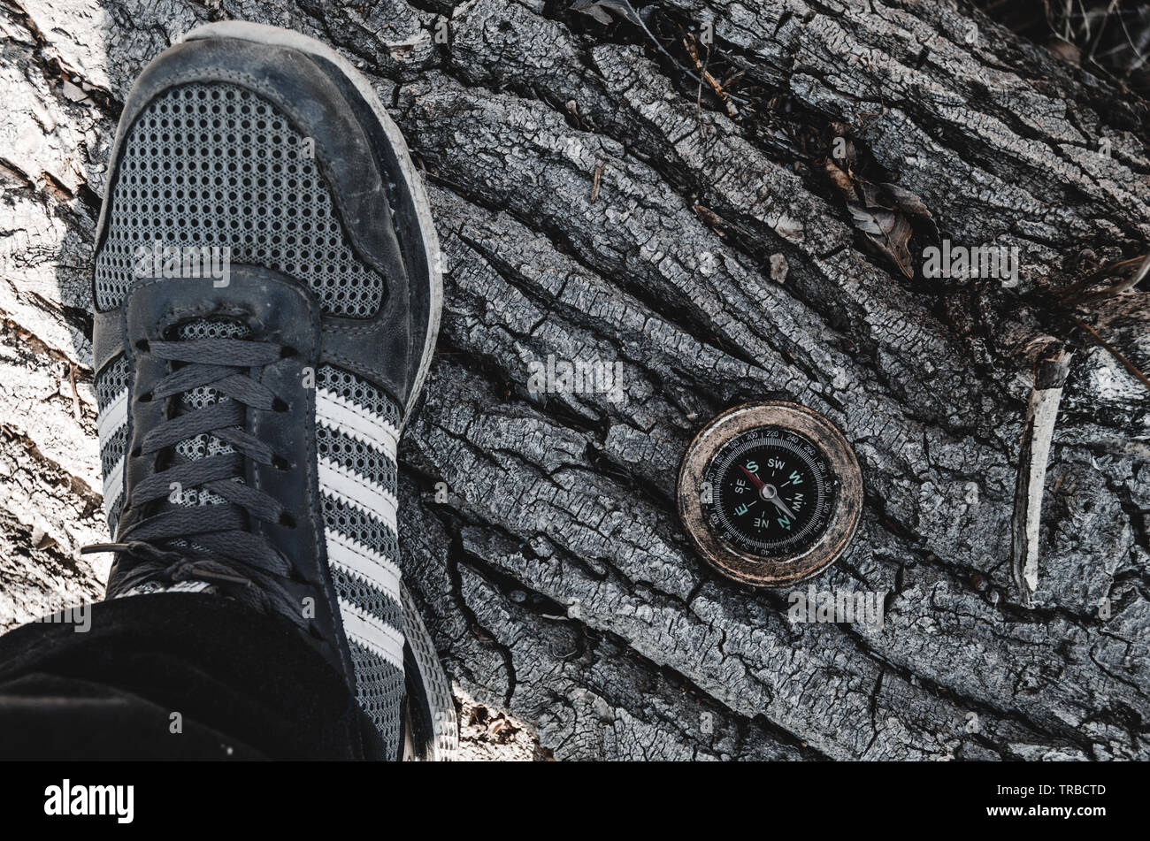 Old compass and shoes on a background of tree bark Stock Photo - Alamy