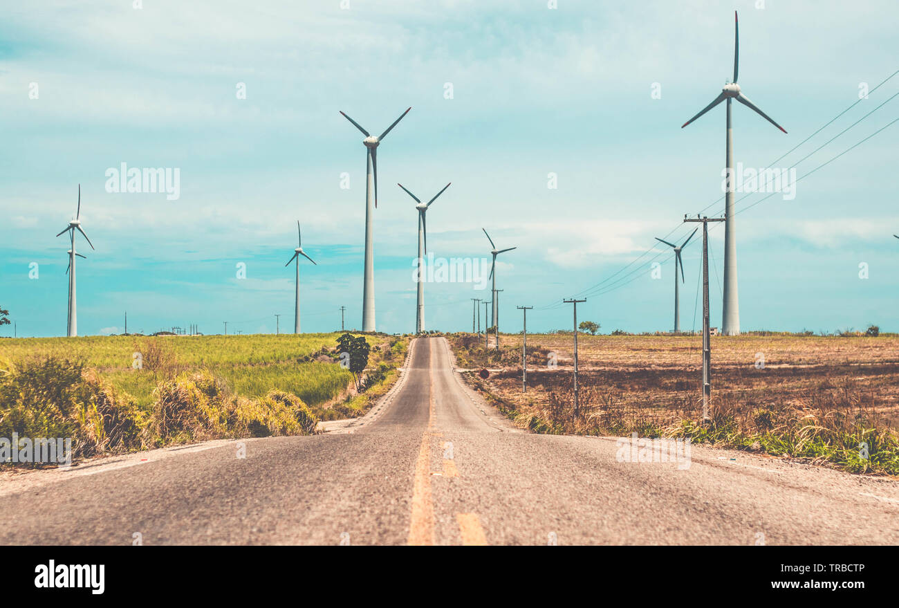 Wind power brazil hi-res stock photography and images - Alamy